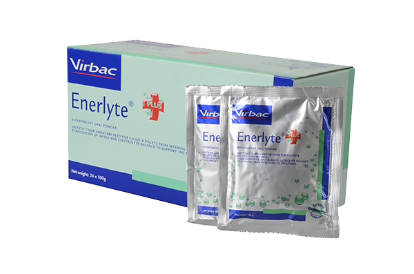 Enerlyte Plus for calves and piglets